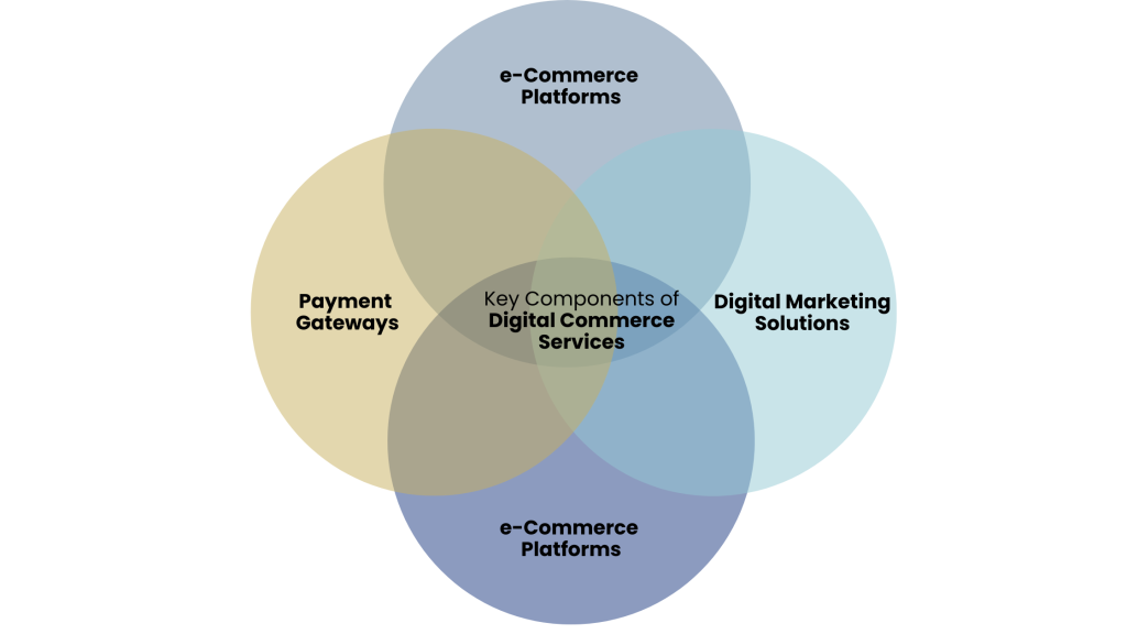 Digital Commerce Services: How Do They Work?