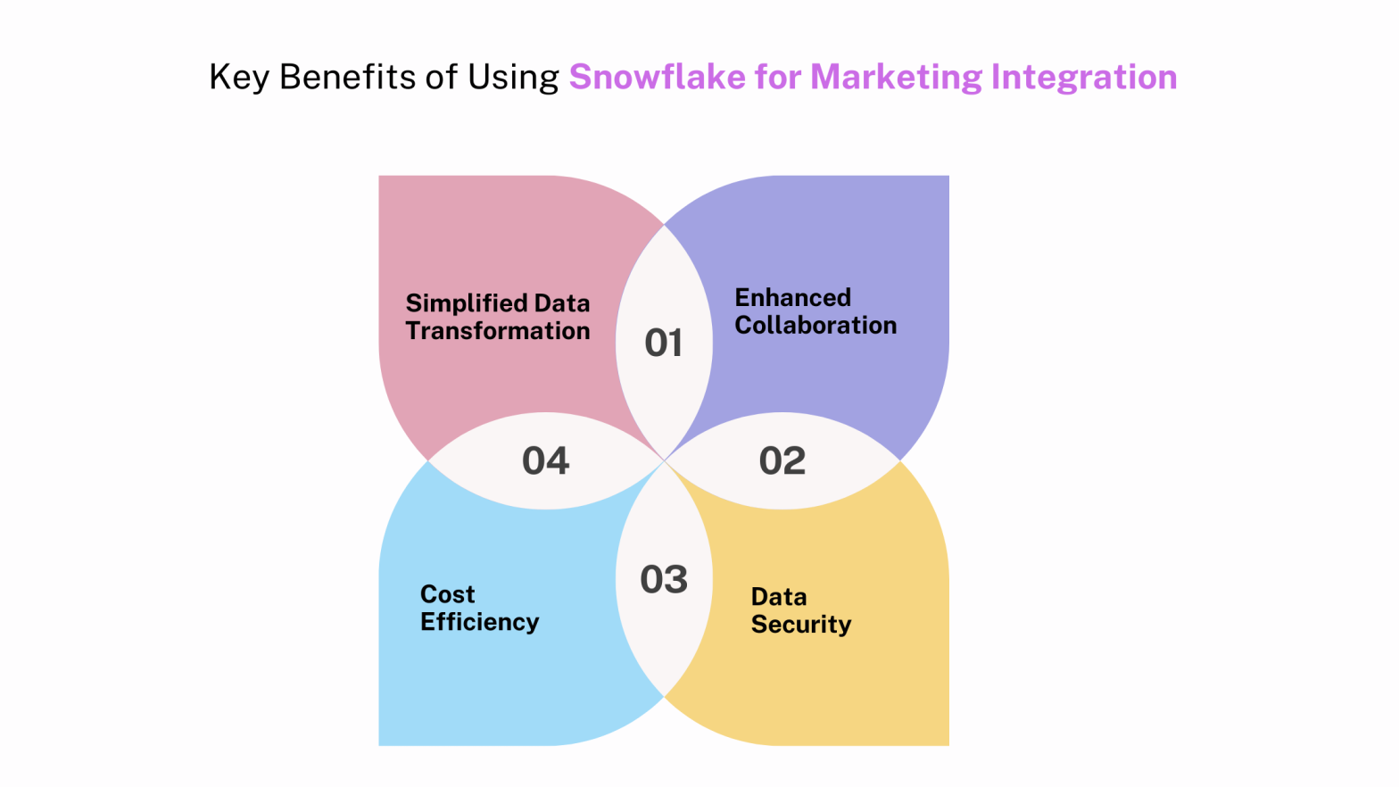 Snowflake Data Migration Services for Marketing Tool Integration